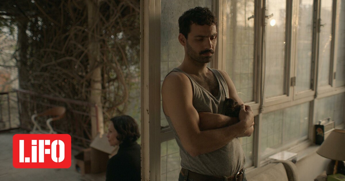 Wishbone (Wishbone) | Σινεμά | LiFO